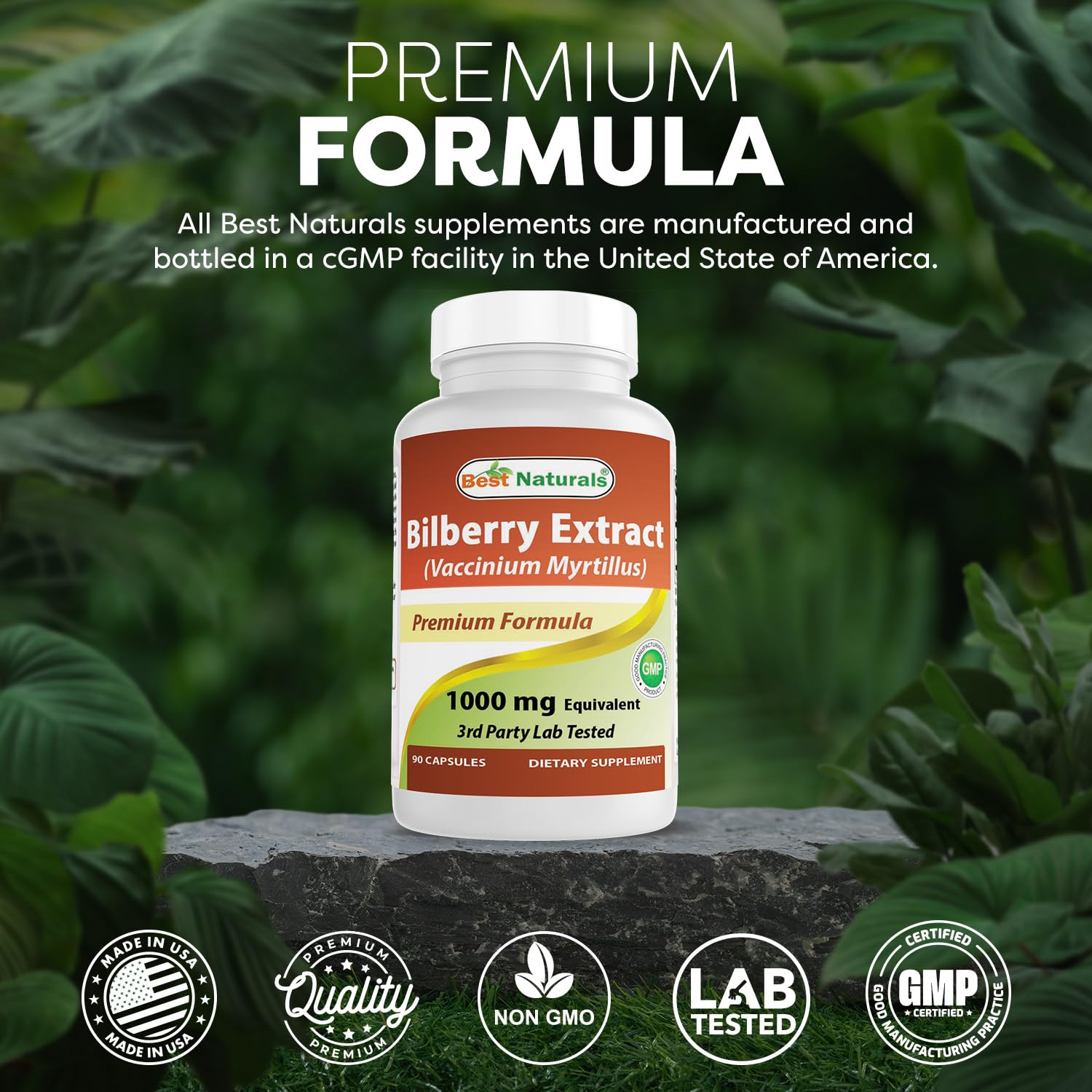 90 capsules of bilberry extract