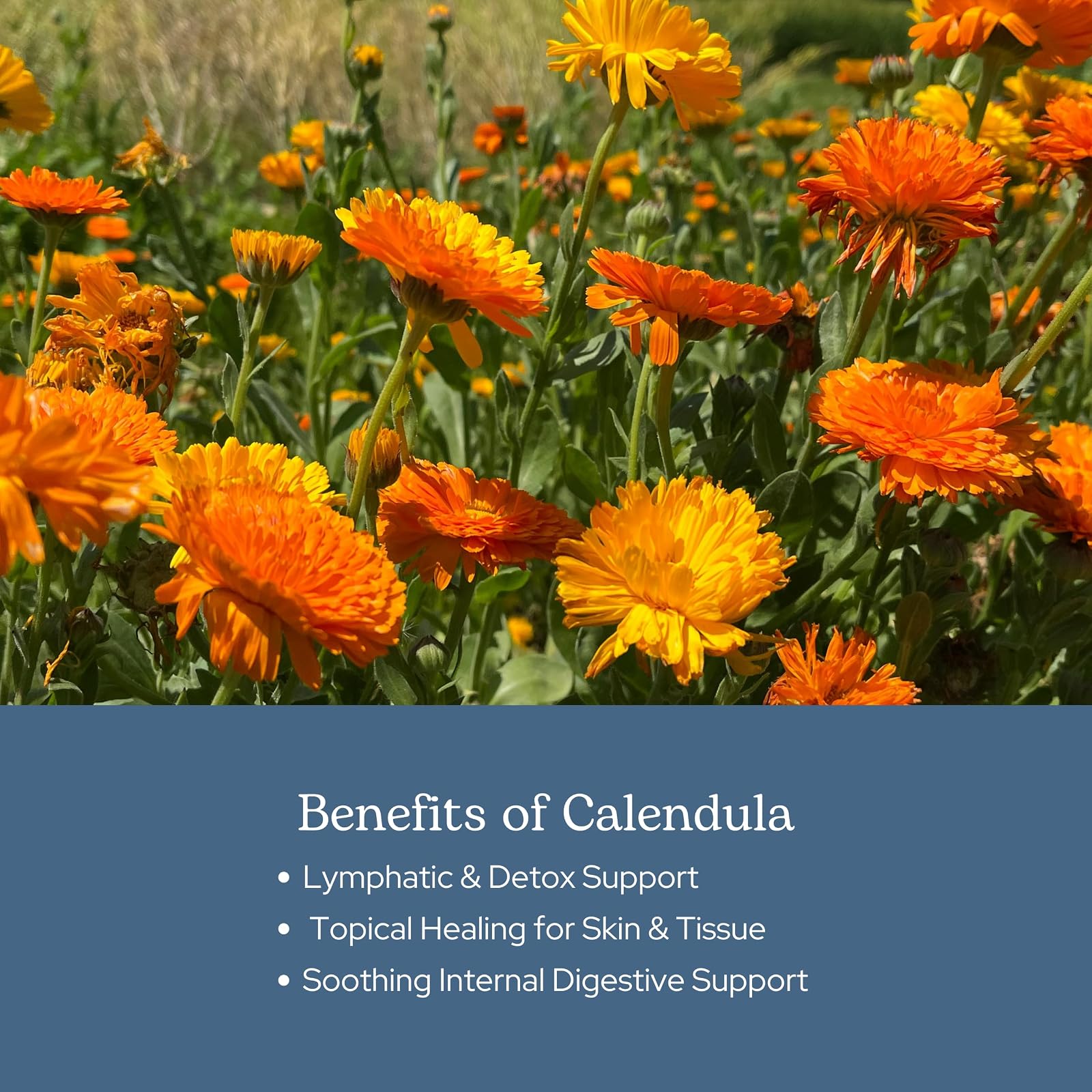 90 capsules of calendula extract