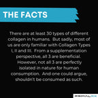 90 capsules of collagen support