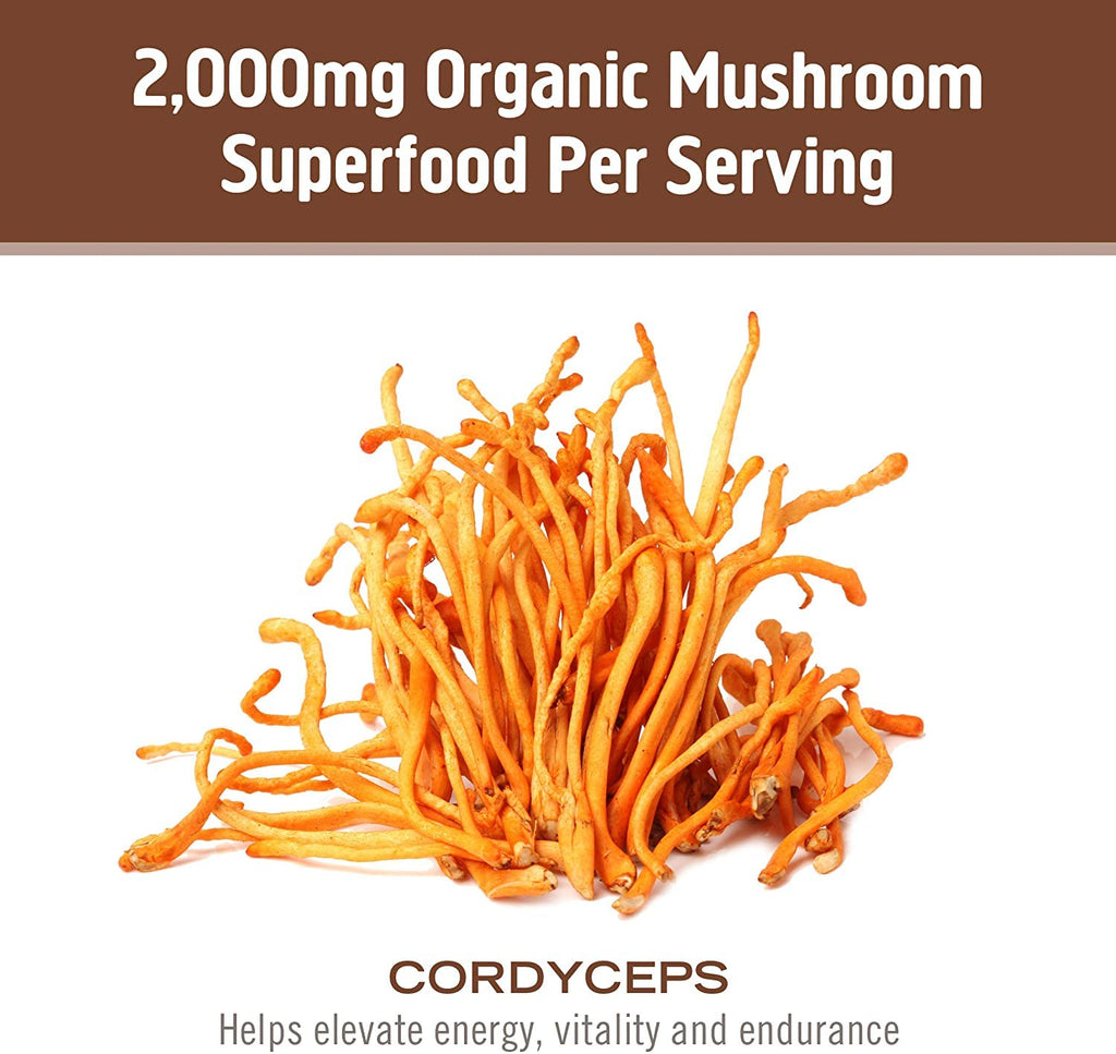 90 capsules of cordyceps power