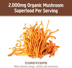 90 capsules of cordyceps power