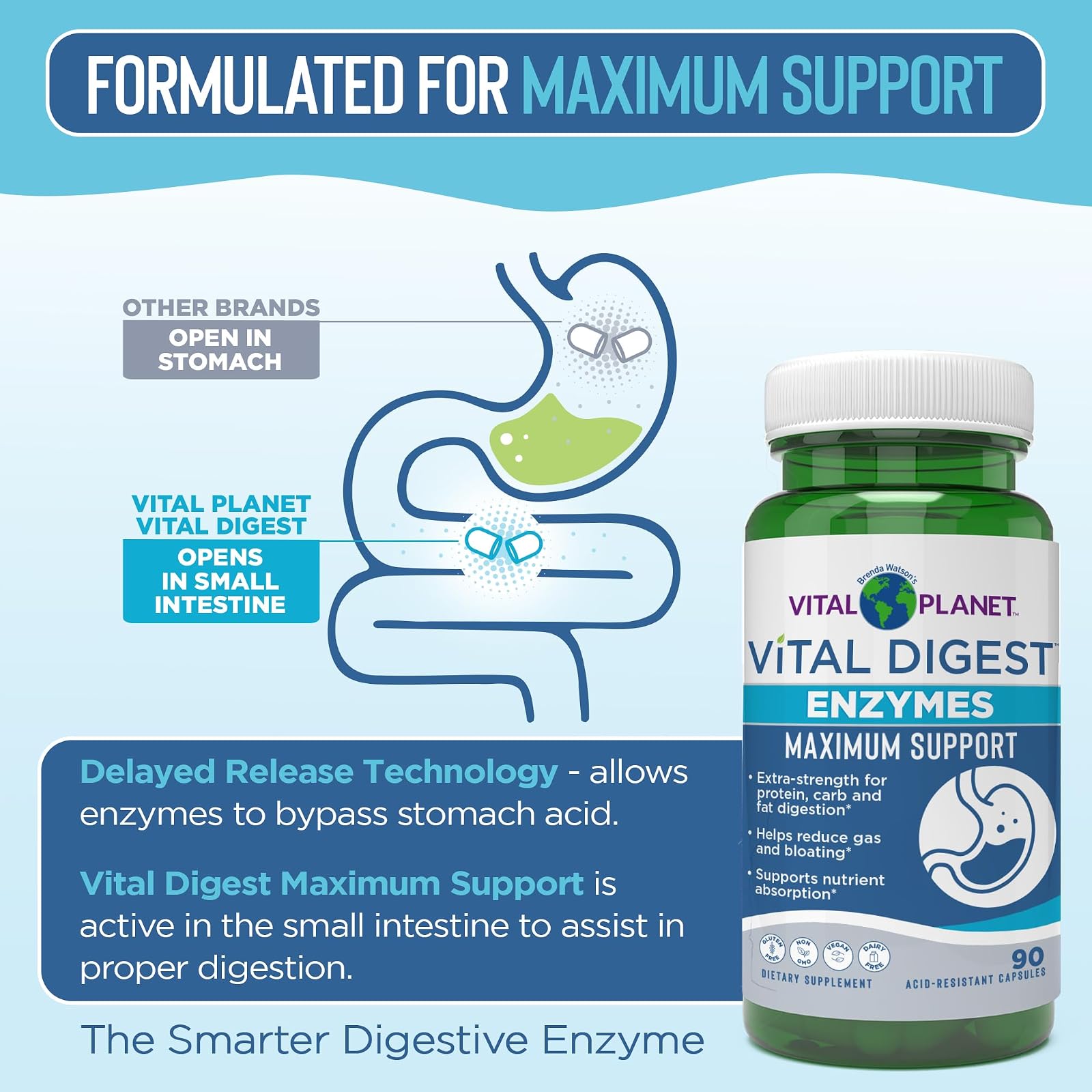 90 capsules of digestive enzyme blend