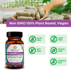 90 capsules of digestive enzyme support