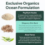 90 capsules of digestive enzymes