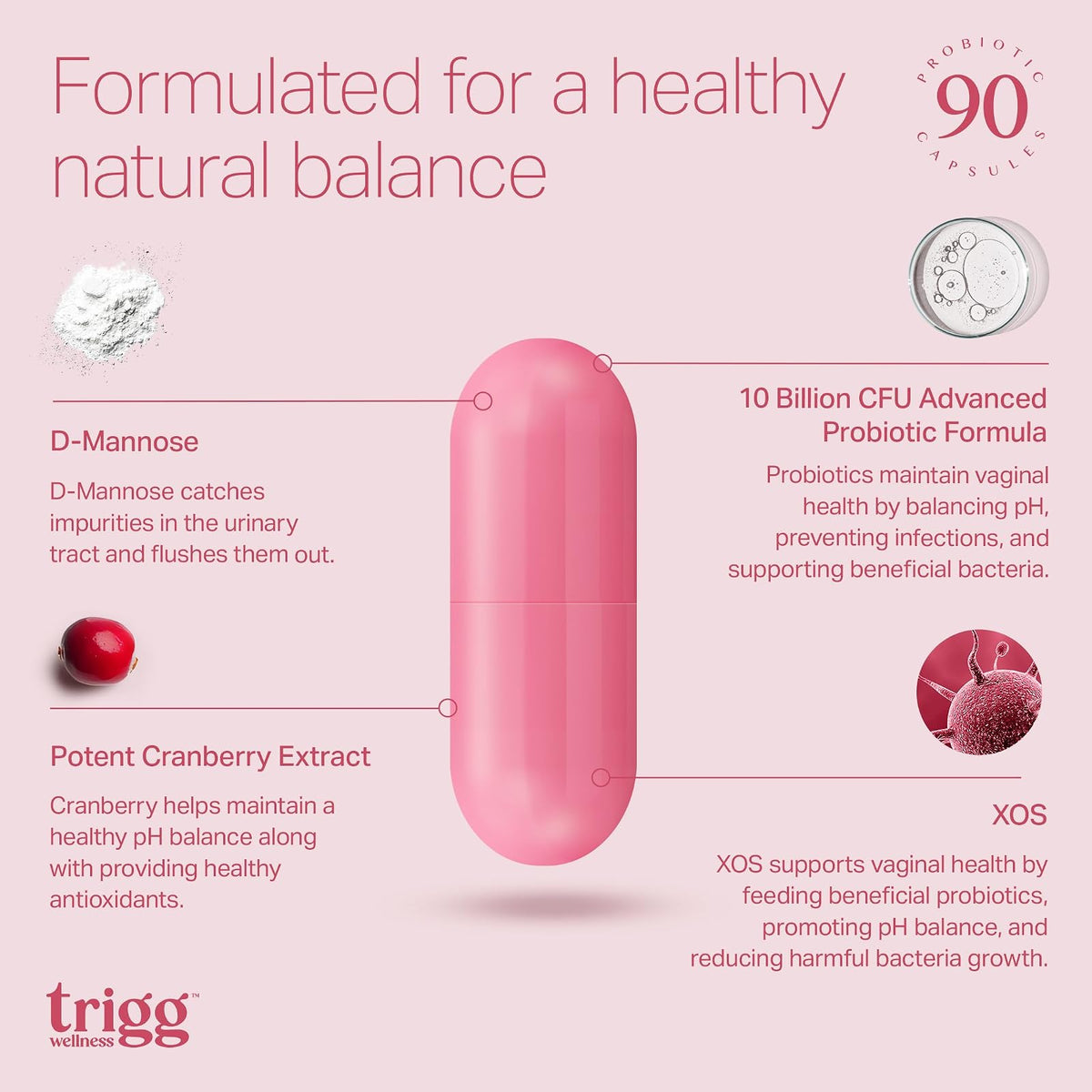 90 capsules of digestive support