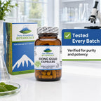 90 capsules of dong quai extract