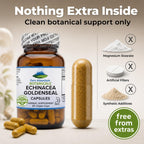 90 capsules of Echinacea Goldenseal