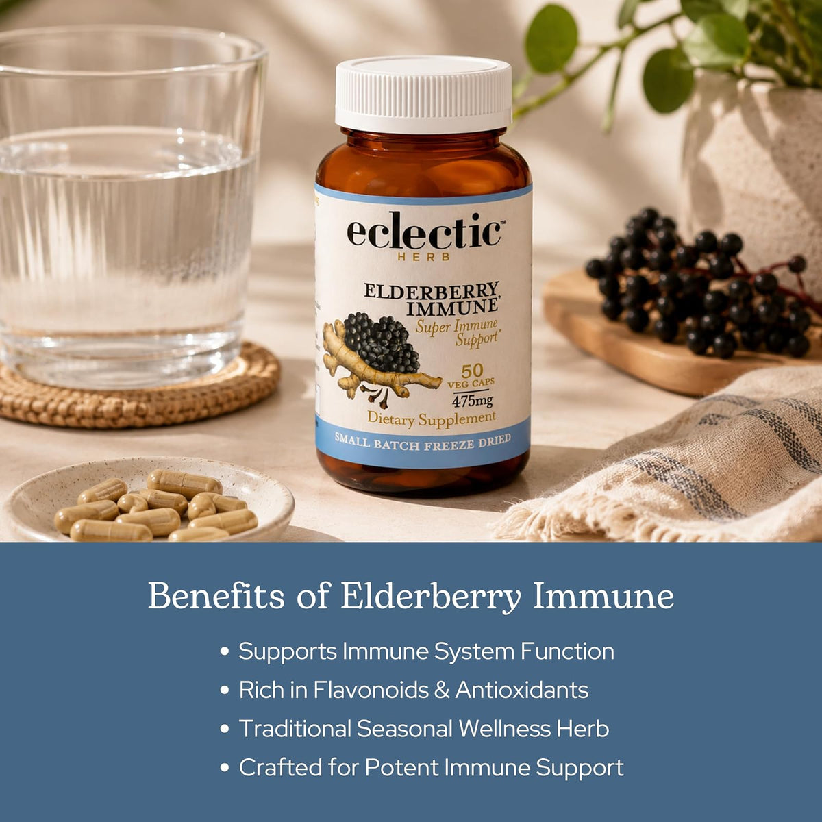 90 capsules of elderberry extract