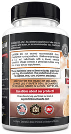 90 capsules of lion's mane extract
