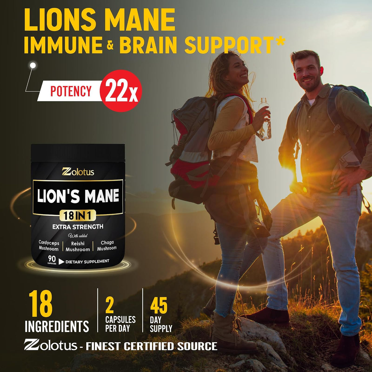 90 capsules of lion's mane extract