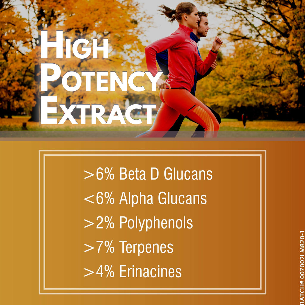 90 capsules of Lion's Mane extract