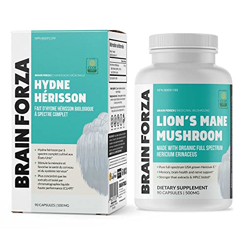 90 capsules of lion's mane