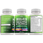 90 capsules of Mullein leaf extract