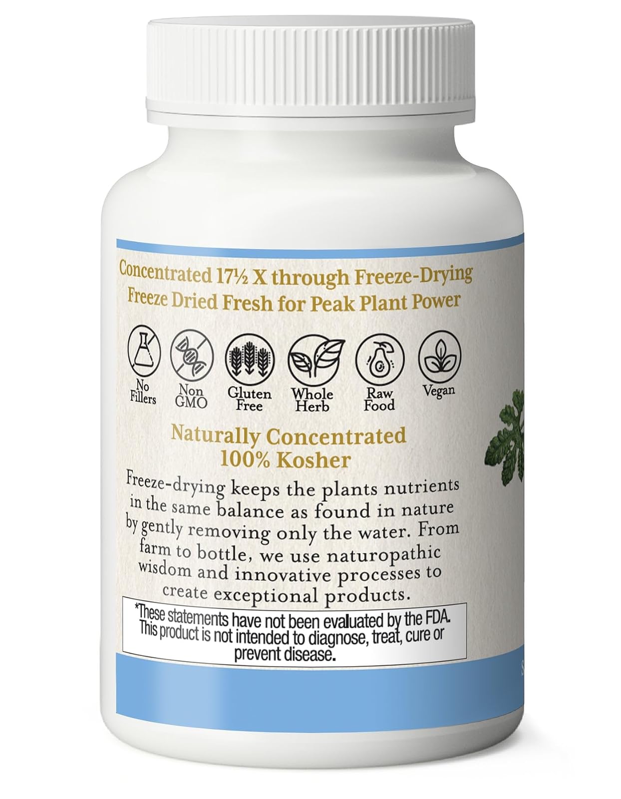 90 capsules of natural Bitter Melon extract