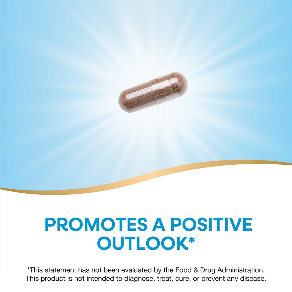 90 capsules of natural mood enhancer