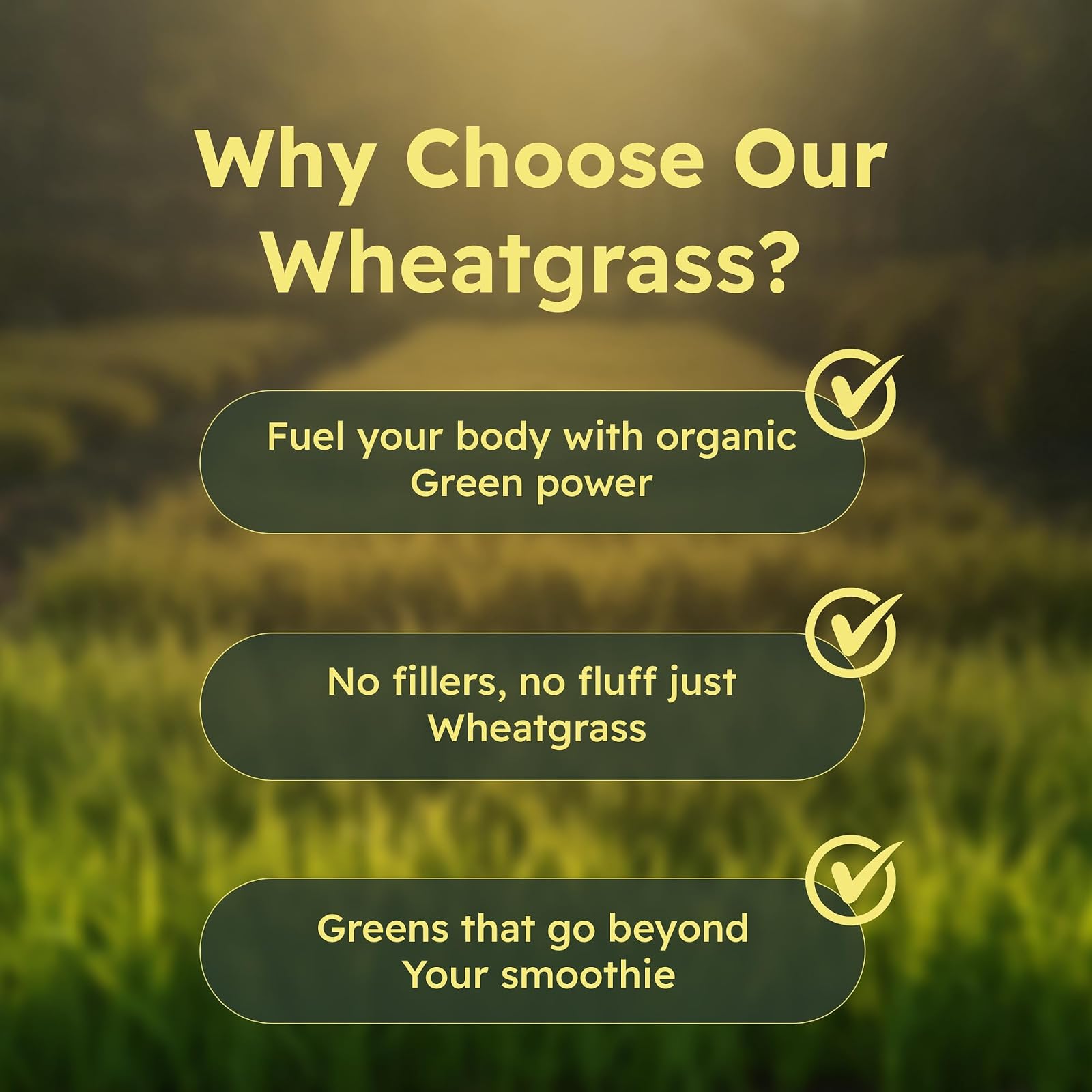 90 capsules of nutrient-rich wheat grass