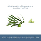90 capsules of olive leaf goodness