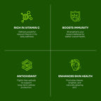 90 capsules of organic amla
