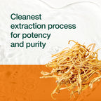 90 capsules of organic cordyceps