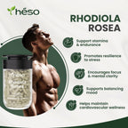 90 capsules of Rhodiola Rosea extract