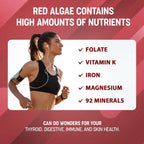90 capsules of sea moss benefits