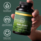 90 capsules of sea moss goodness
