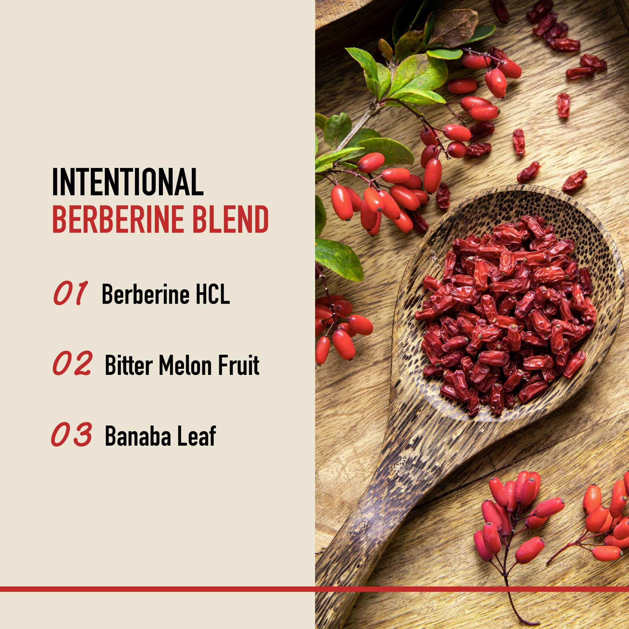 90 capsules of SMNutrition berberine