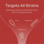 90 capsules of Szio+ cranberry extract