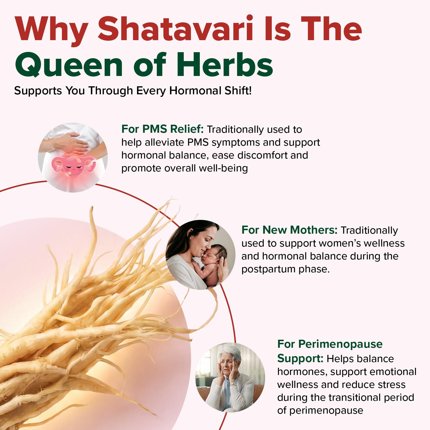 90 capsules of VAHDAM Shatavari for vitality