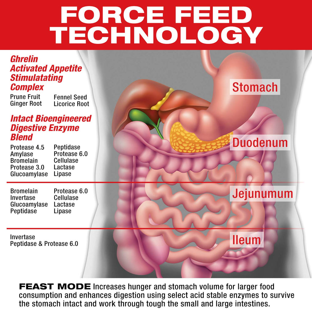 90 capsules of weight gain support