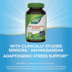 90 count ashwagandha gummies for daily wellness