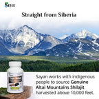 90 count chaga capsules for daily wellness