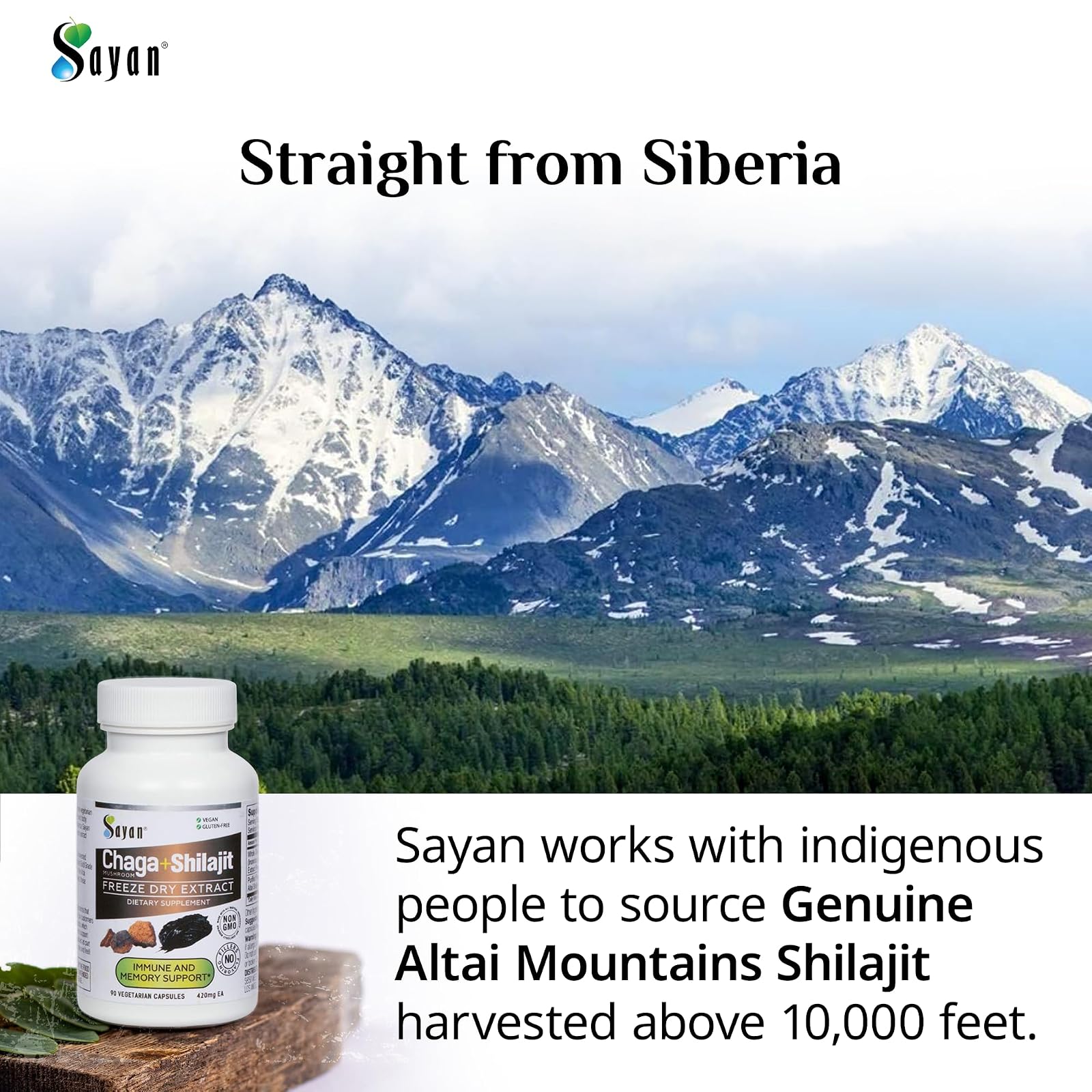 90 count chaga capsules for daily wellness