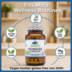 90 count echinacea supplement