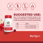 90 count elderberry gummies for wellness