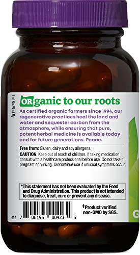 90 count ginkgo biloba capsules for wellness