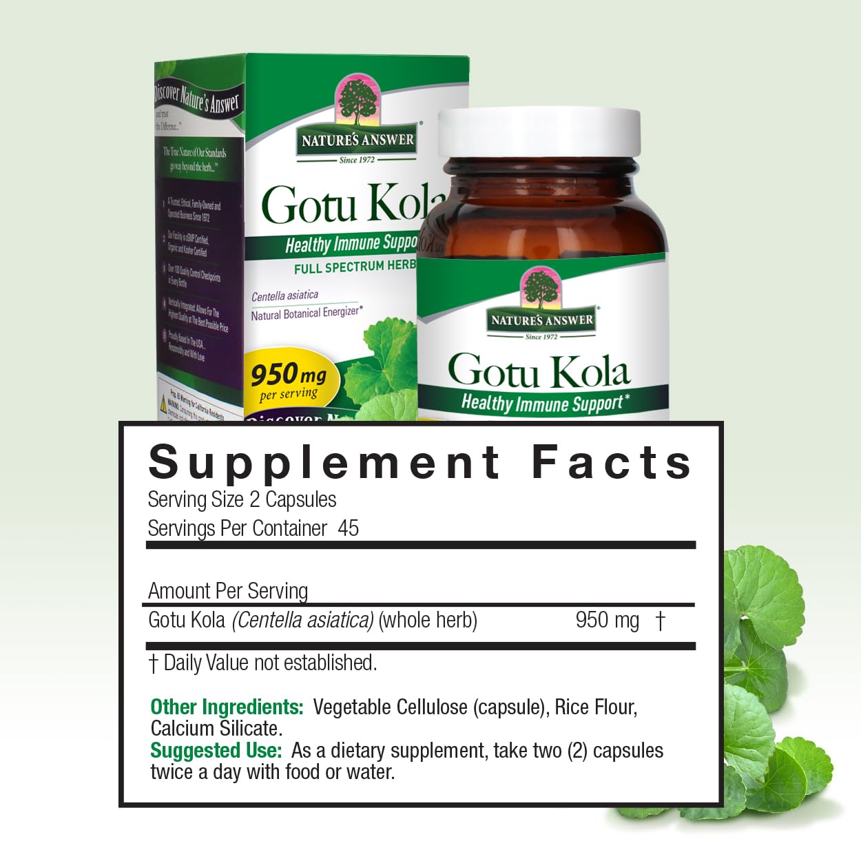90 count Gotu Kola supplement