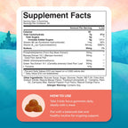 90 count kids focus gummy vitamins