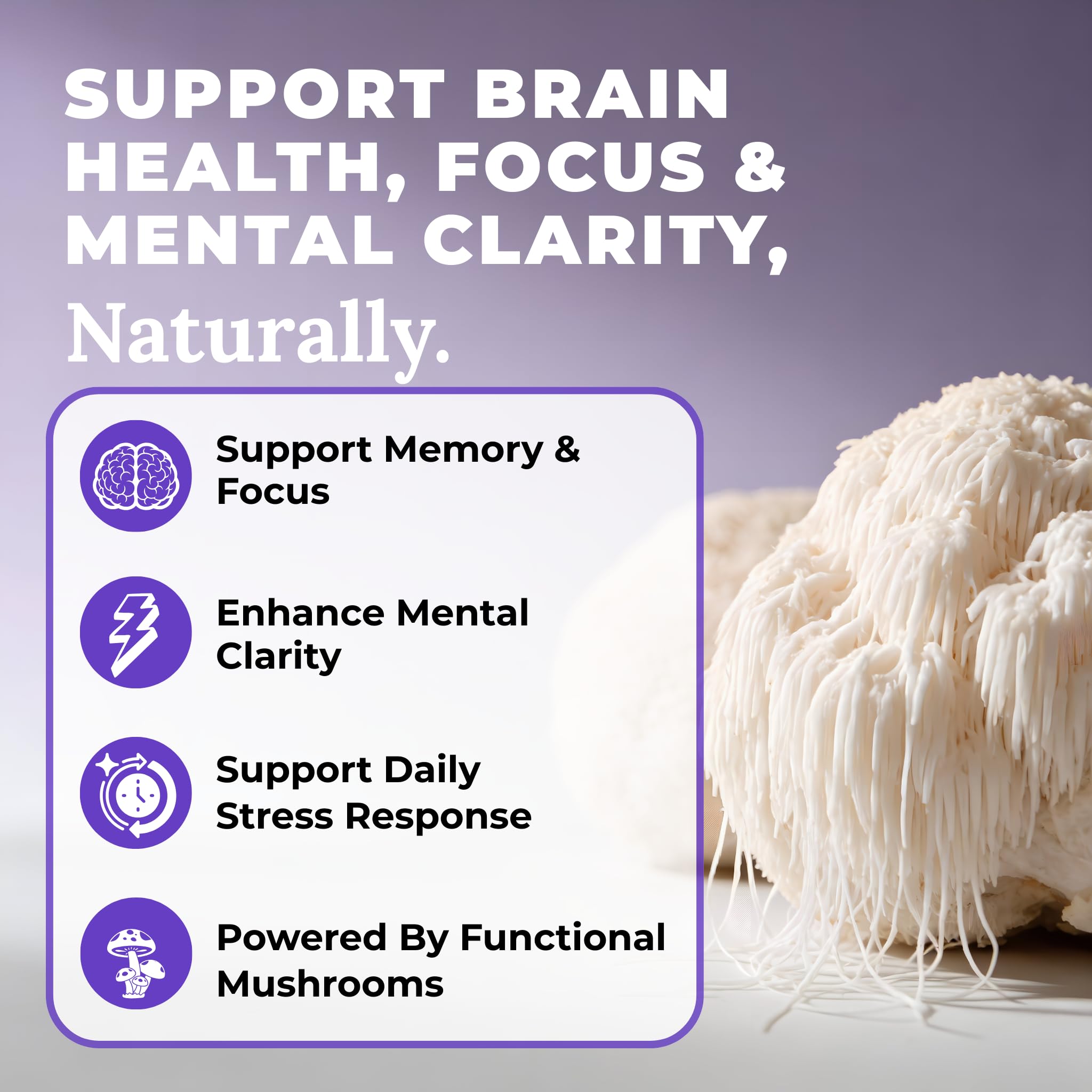 90 count lion's mane capsules