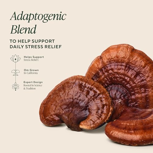 90 count mushroom capsules for daily use