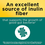 90 count Nature Made fiber gummies