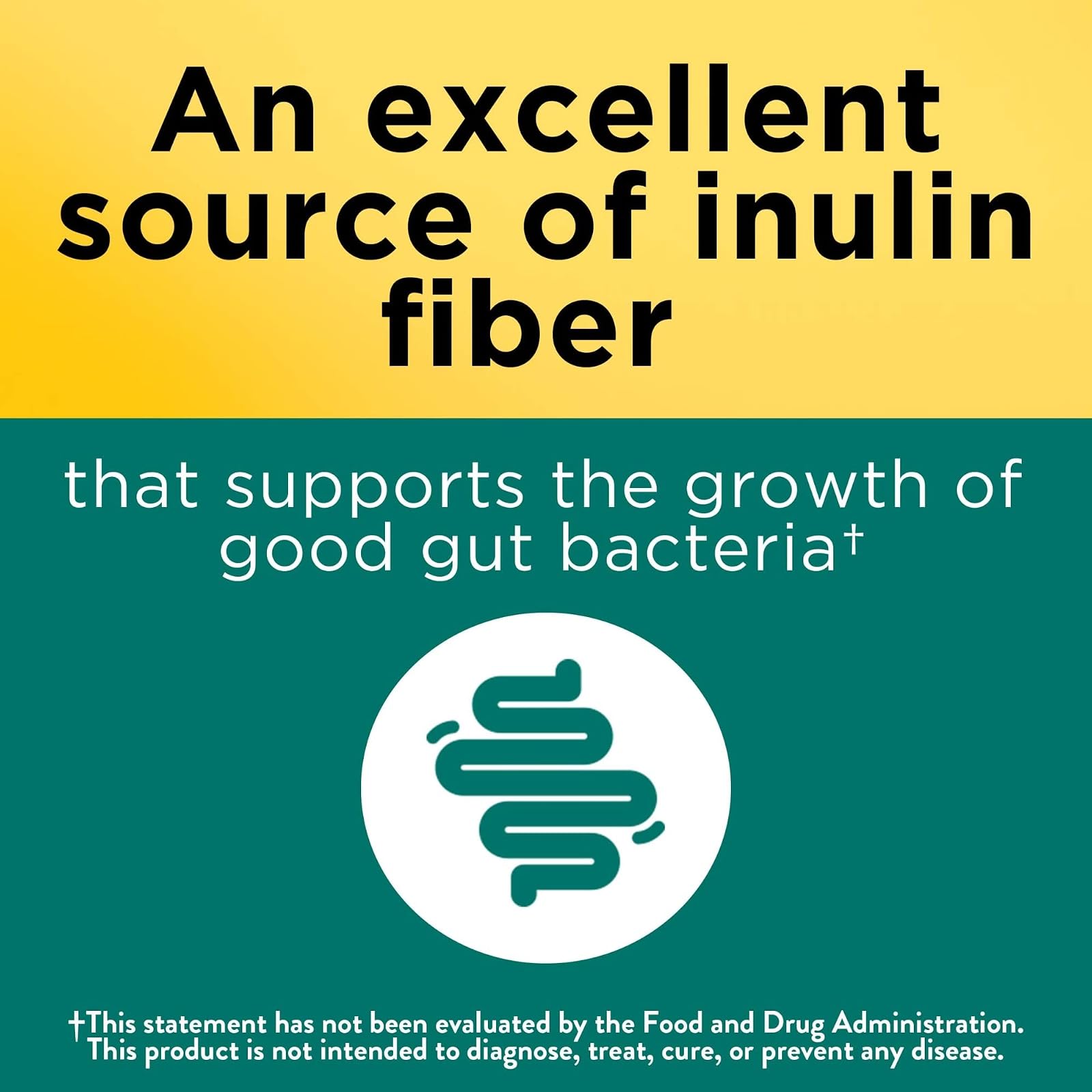 90 count Nature Made fiber gummies