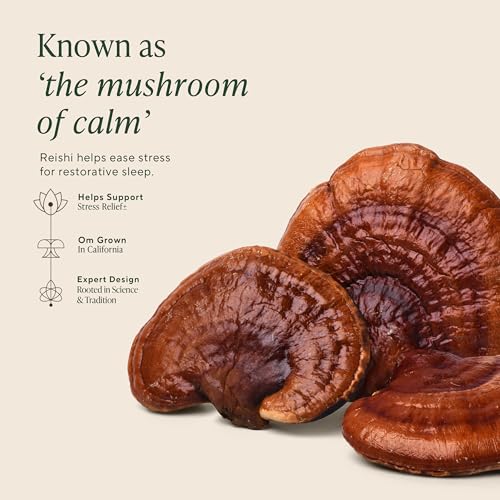 90 count OM Mushroom sleep support