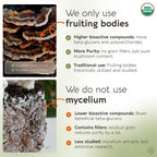 90 count organic mushroom supplements
