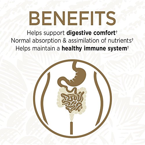 90 count probiotic capsules for digestion