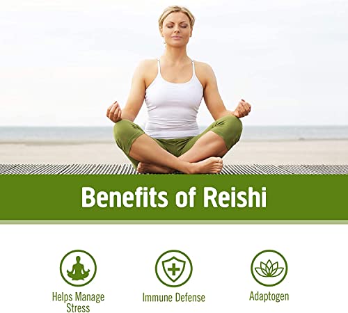 90 count reishi mushroom pills
