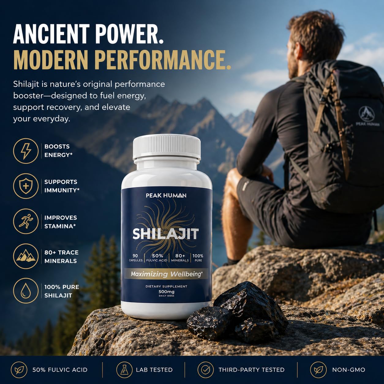 90 count Shilajit capsules