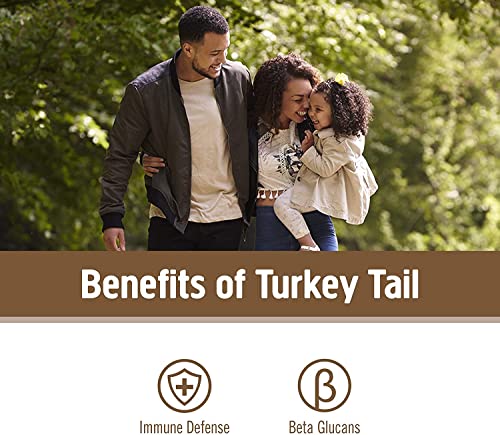 90 count Turkey Tail capsules