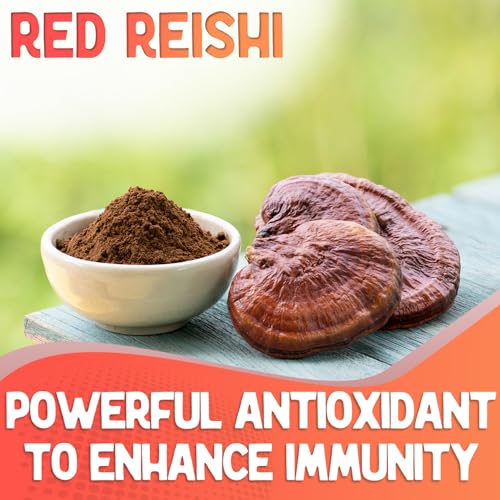 90 day supply of mushroom capsules