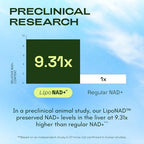 90-day supply of vitamin B3